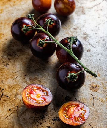 Do Tomatoes Need Protection From Excessive Heat? | Gardening Know How