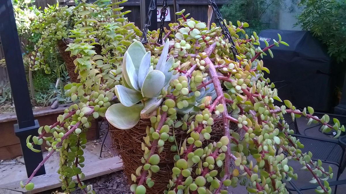 Review: Nokia Lumia 530 | Windows Central