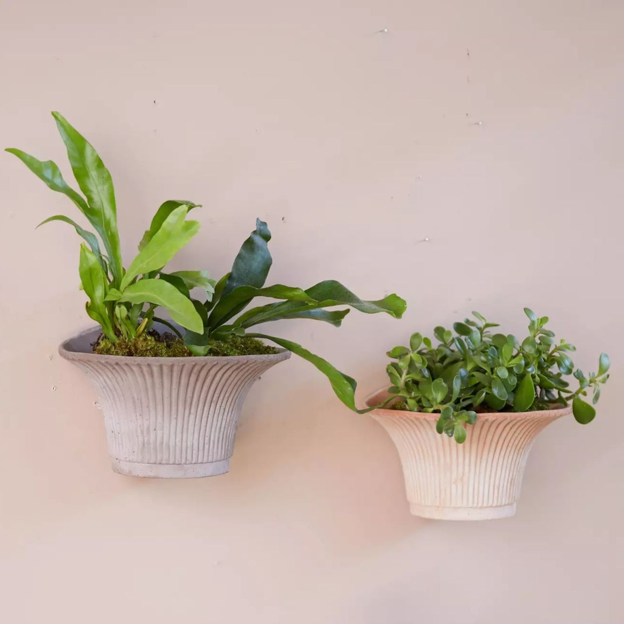 5 simple hacks to keep mosquitos away from the front door | Homes and ...