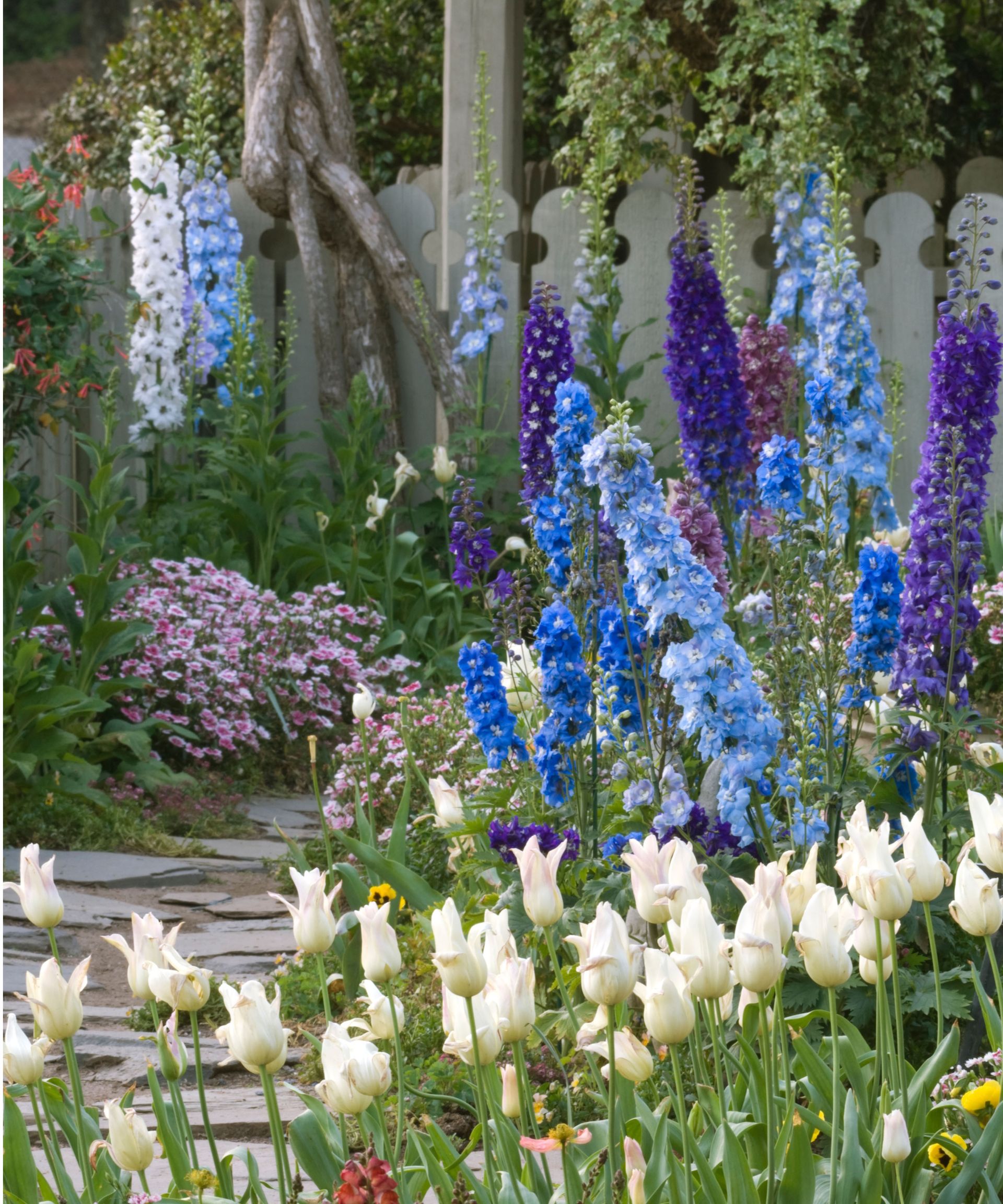 5 early-spring gardening tasks for the first day of spring | Homes and ...