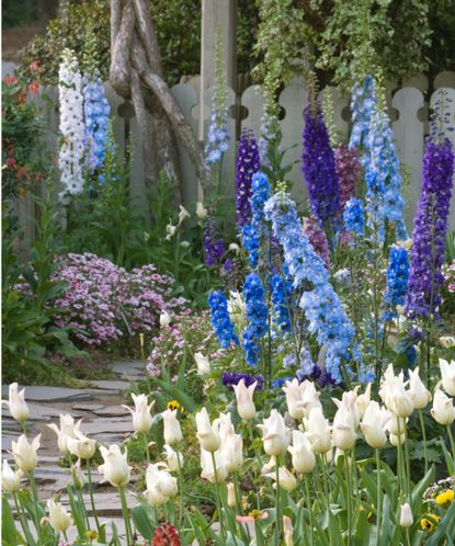 5 early-spring gardening tasks for the first day of spring | Homes and ...