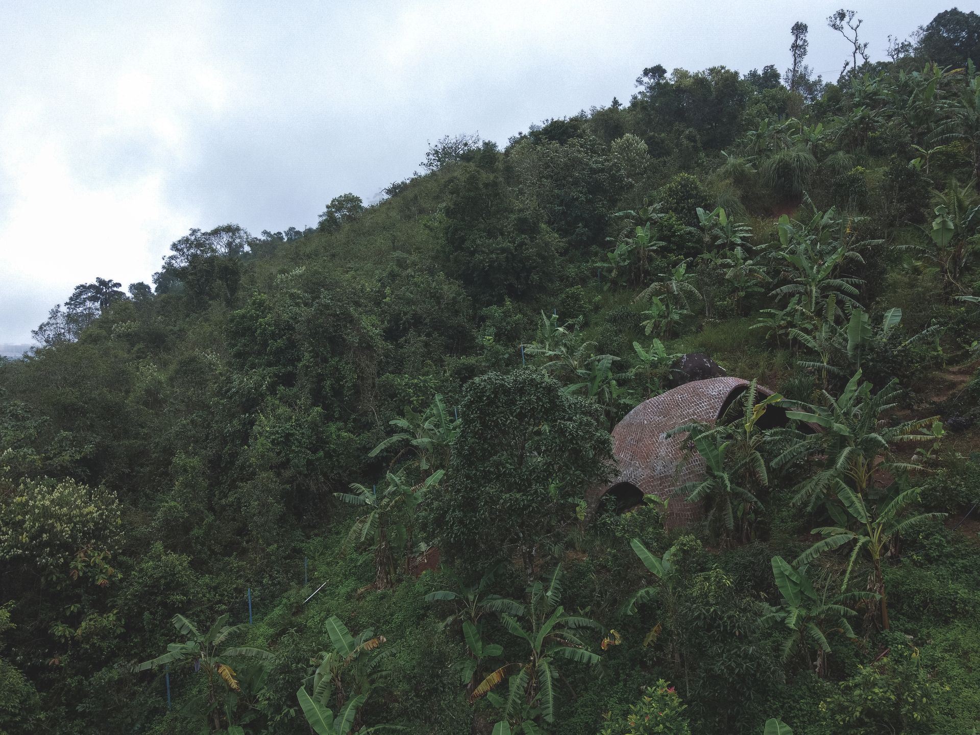 We profile Earthscape Studio in India | Wallpaper*