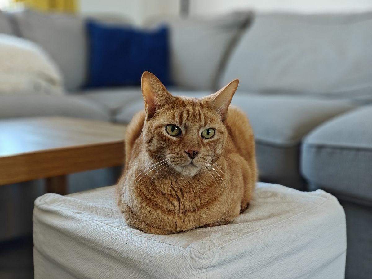 OnePlus 13R review | TechRadar