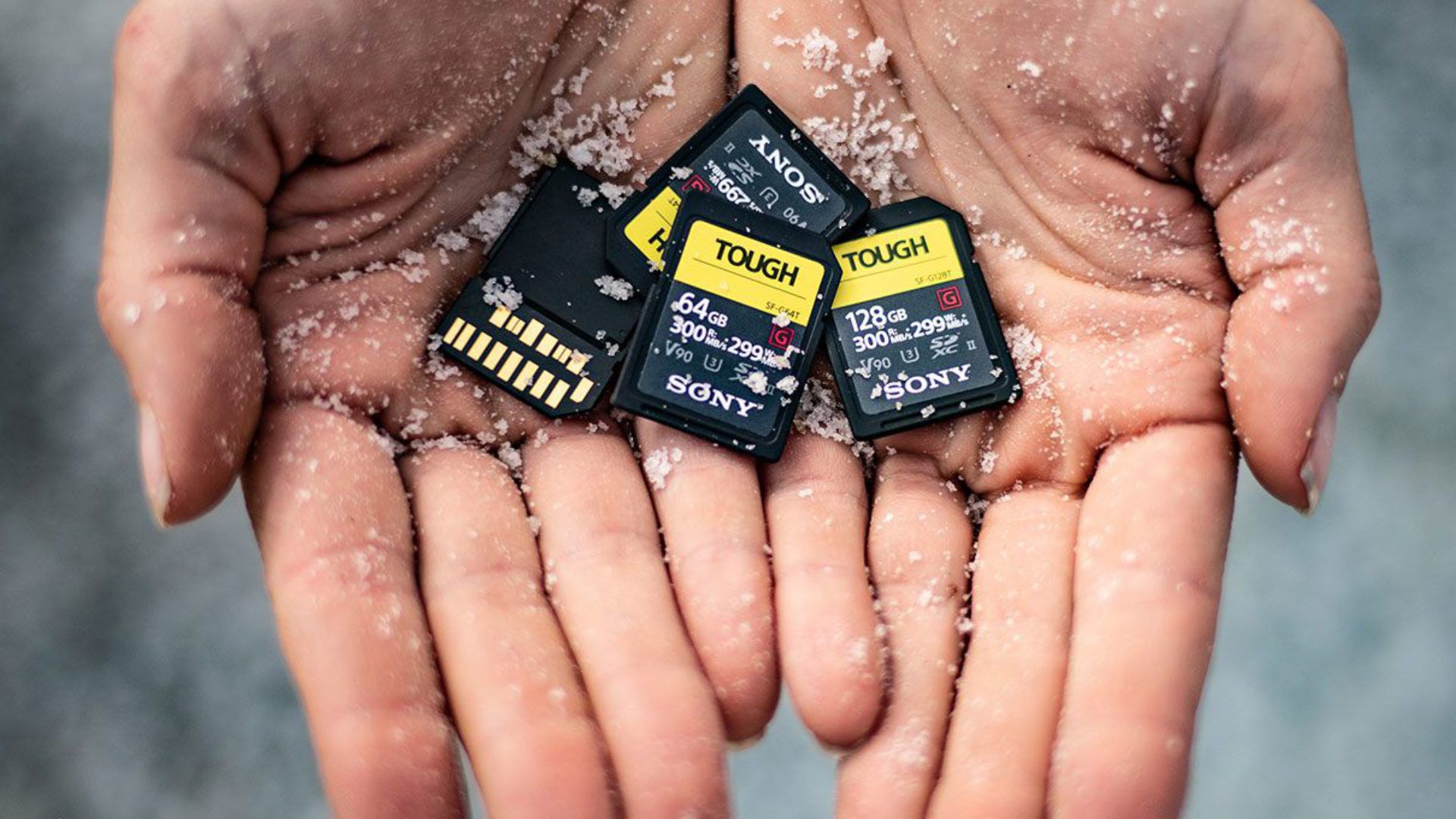 Everything you need to know about SD memory cards | TechRadar