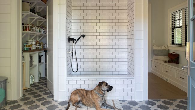 How to design a dog shower in a utility room | Homebuilding