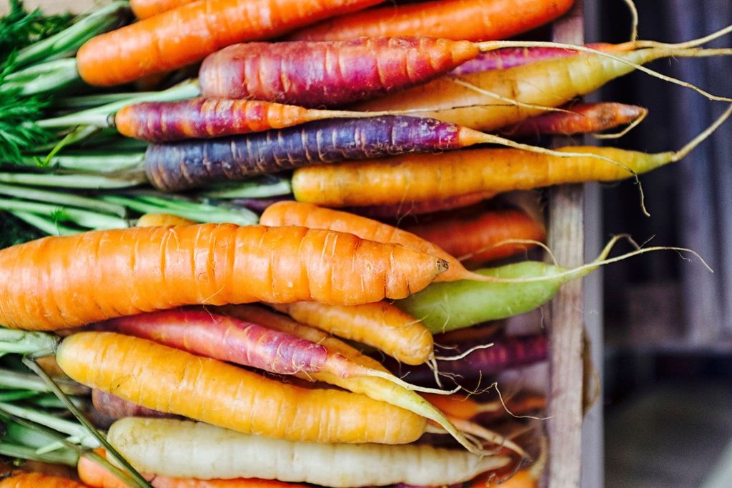 Different Carrot Plant Types: Learn About Different Kinds Of Carrots ...