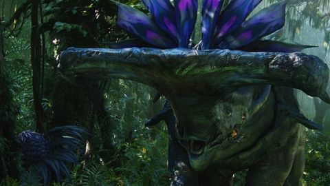 The creatures of Avatar & Avatar: The Way of Water | Space