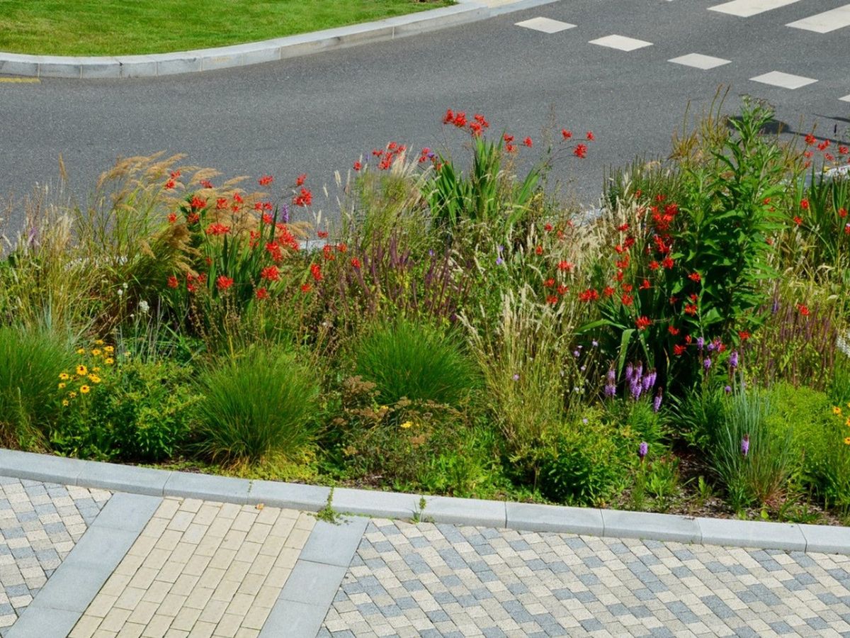 How Stormwater Planters Make Cities More Sustainable | Gardening Know How
