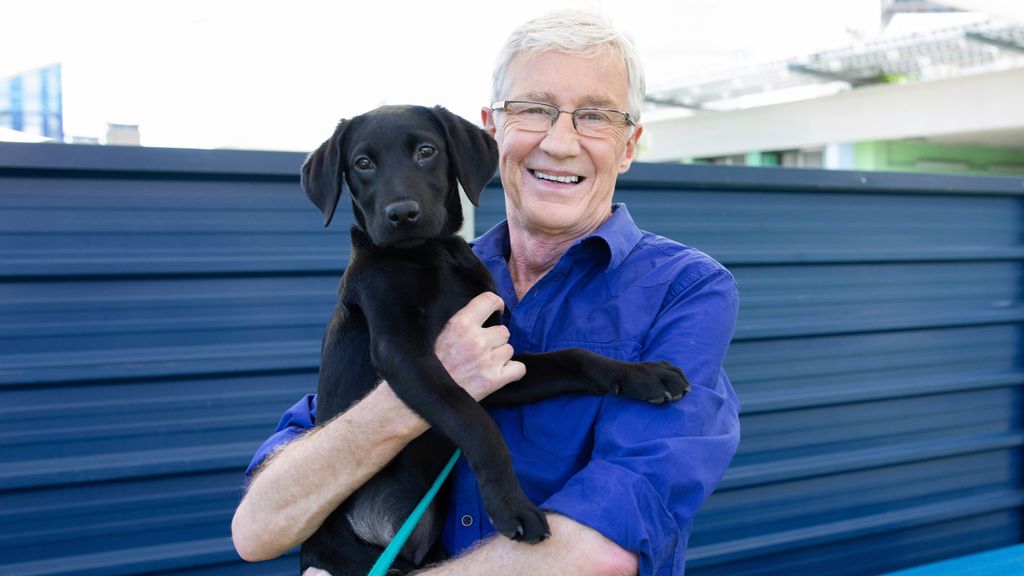 The best ITV documentaries to watch right now | What to Watch