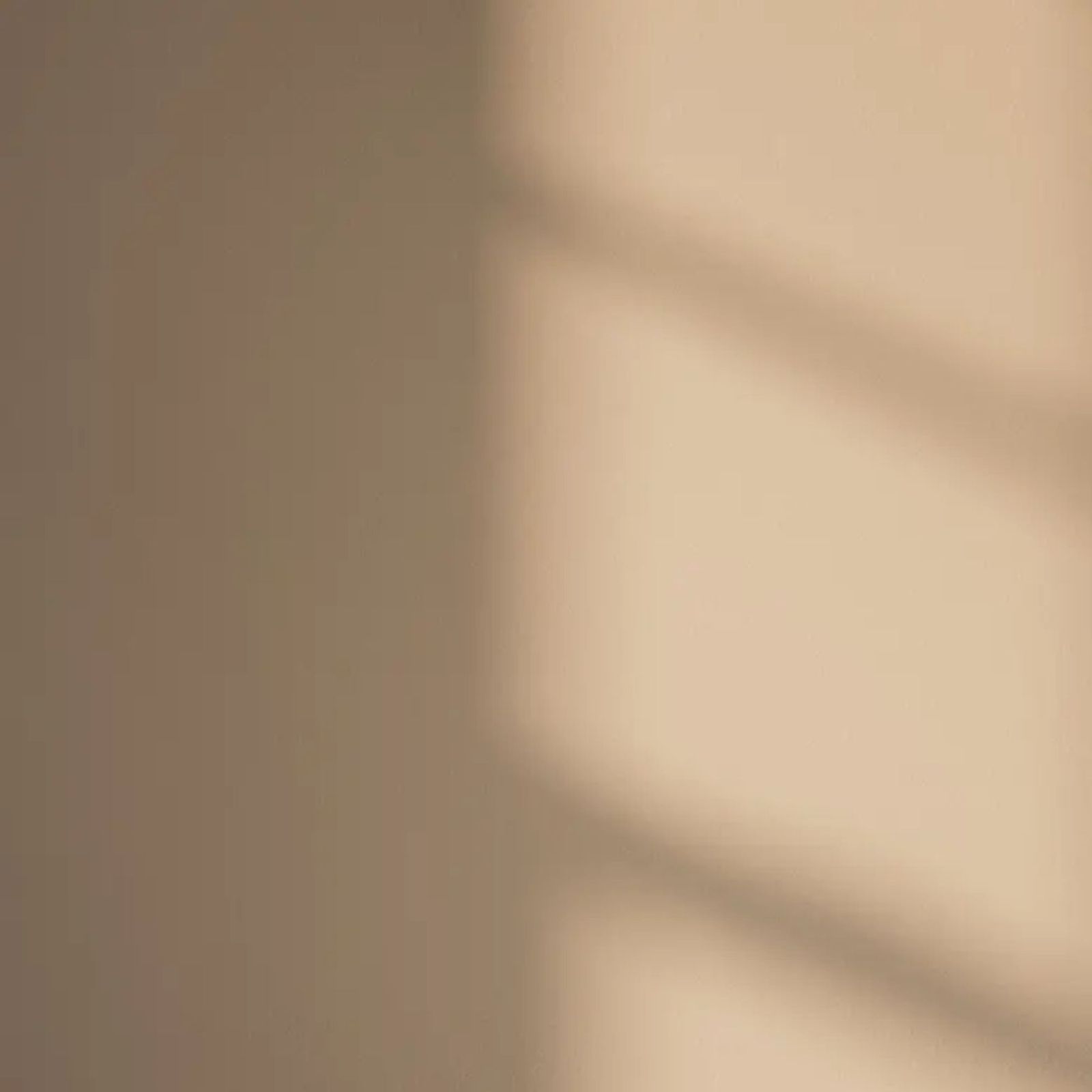 5 of the most on-trend neutral colors for 2024 | Homes and Gardens