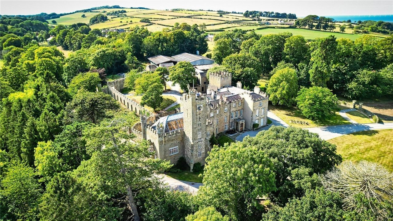 A sprawling castle set amid ancient woodland has come to the market for ...