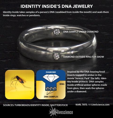 Gene Gems: Ultrapersonalized Jewelry Encapsulates Your DNA | Live Science