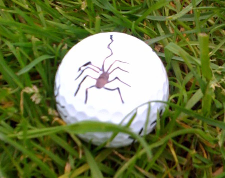 Sharpie ball marker golf competition: Spider | Golf Monthly