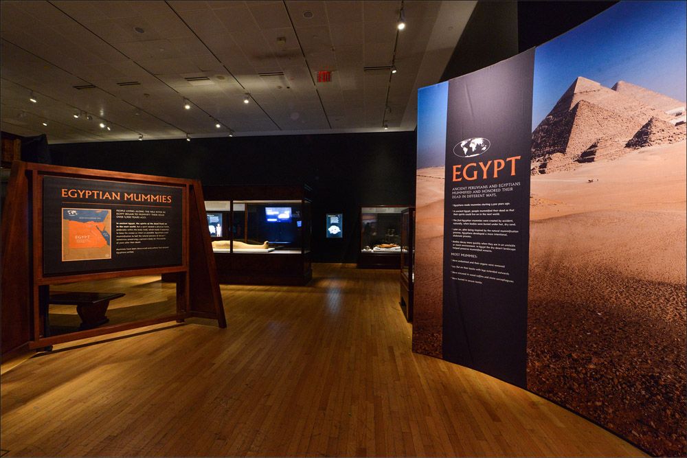 Photos: The Amazing Mummies of Peru and Egypt | Live Science