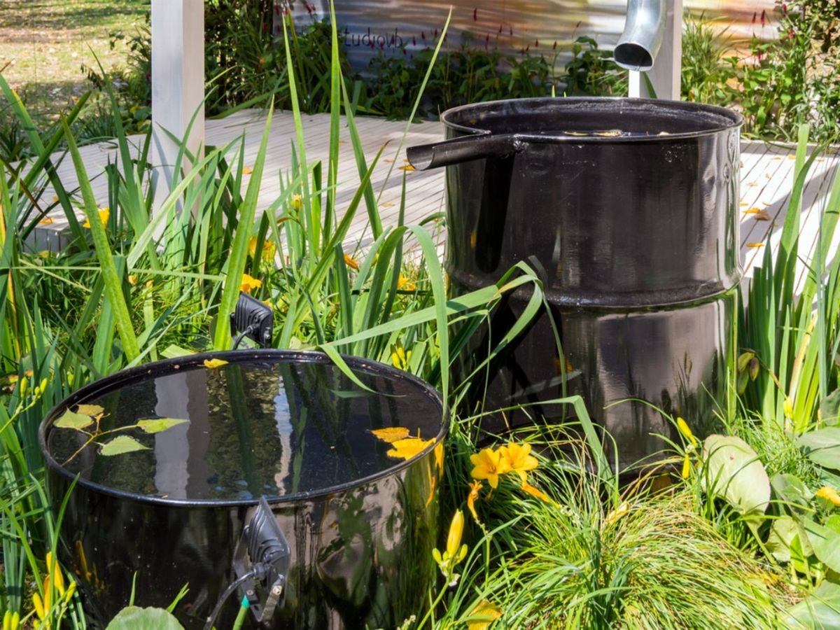 Rainwater Collection - Harvesting Rainwater With Rain Barrels ...