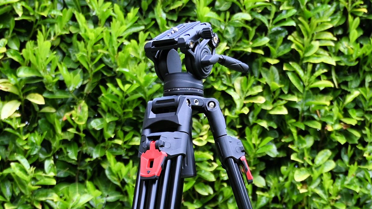 Neewer LL27 video tripod with fluid head review: a mostly sturdy, quick ...