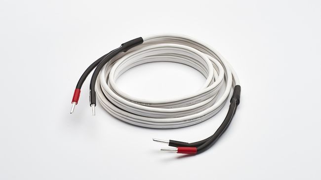 Best speaker cables 2025: our 4 expert picks for every budget | What Hi-Fi?