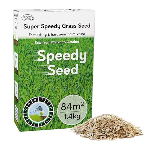 How long does it take for grass seed to grow? | Ideal Home