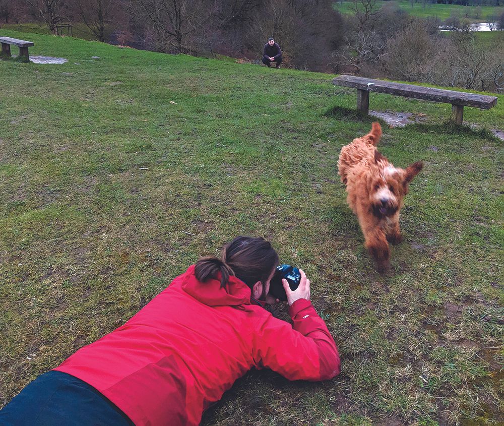 Dog photography: how to shoot action shots of running dogs | Digital ...