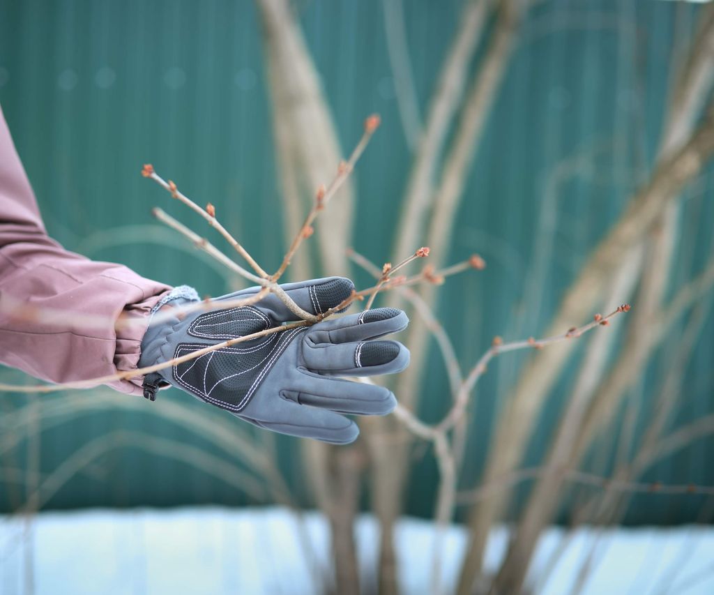 See how a false spring may mean problems for a backyard | Homes and Gardens