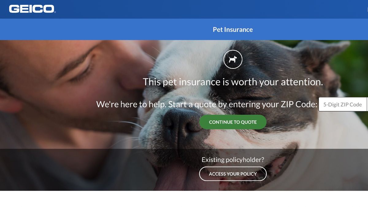 Best pet insurance: Essential cover to put your mind at ease | PetsRadar
