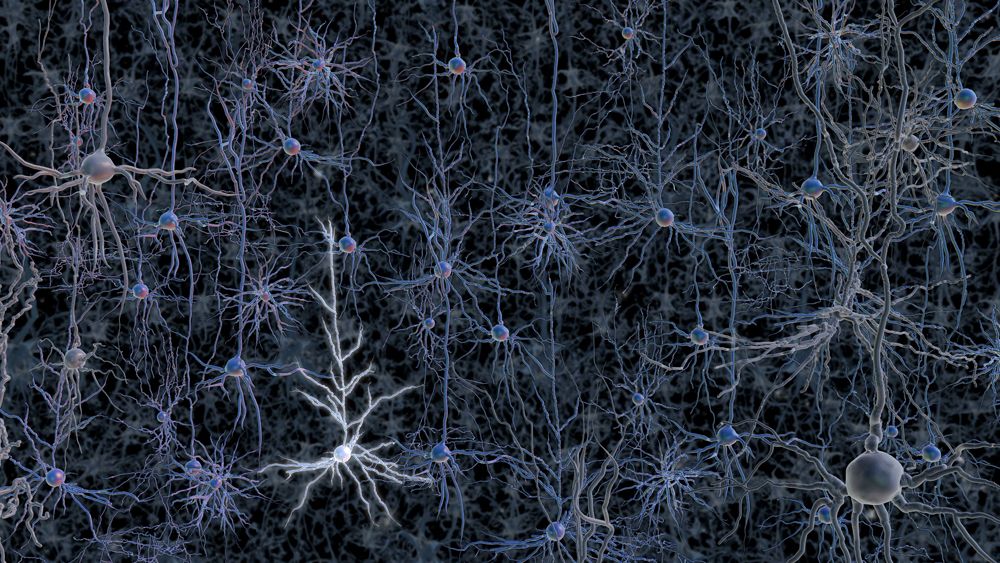 Unlocking the Secrets of the Brain | Live Science