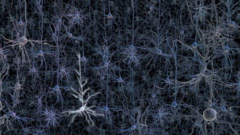 Unlocking the Secrets of the Brain | Live Science