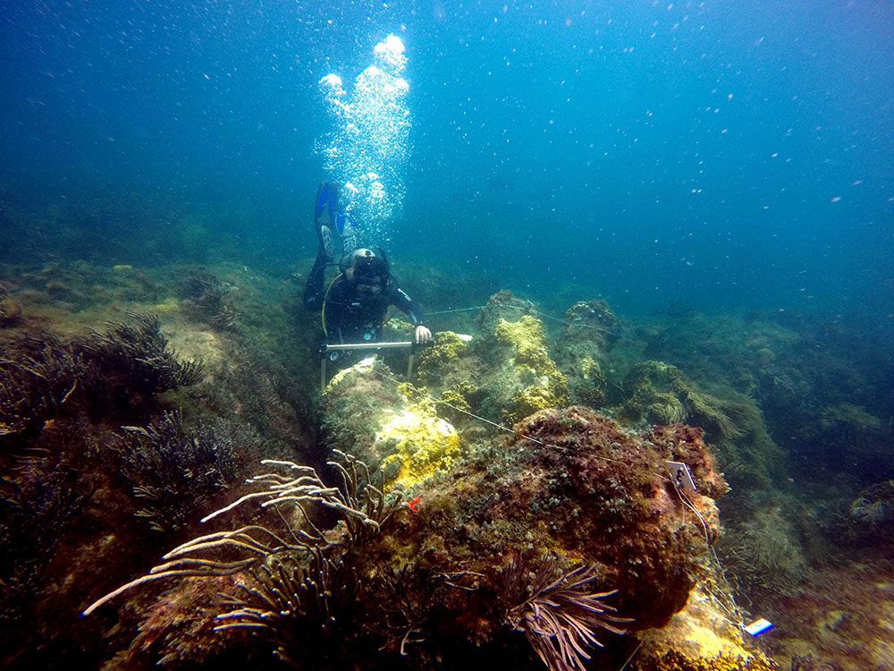 Wreck Of Dutch Warship Found Buried Beneath Coral Live Science