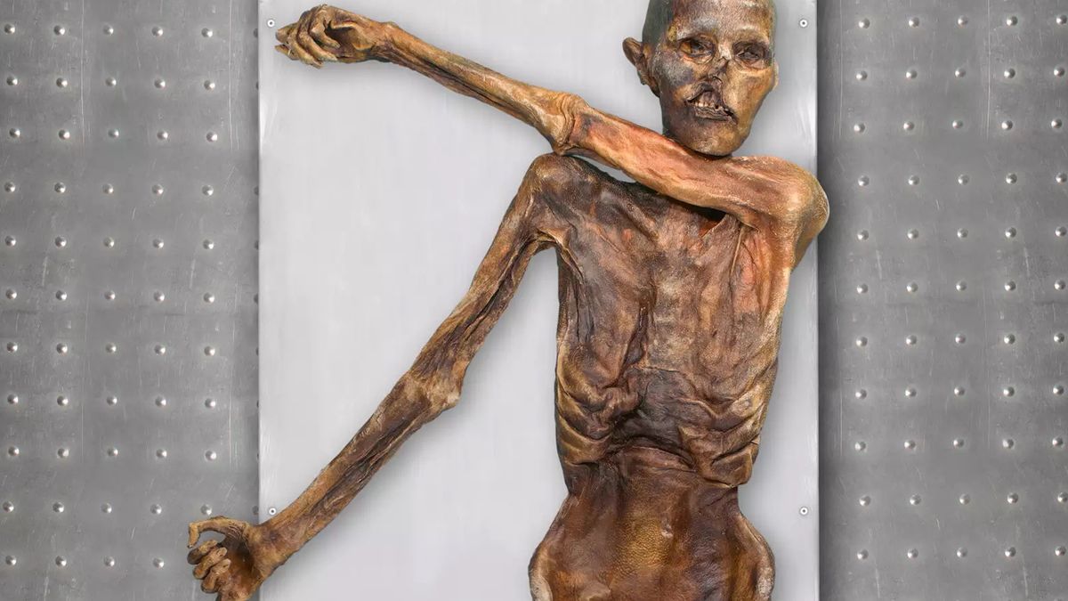 Ötzi the Iceman may have been bald and getting fat before his murder 5,300 years ago | Live Science