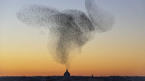 Articles by Sascha Pare, Trainee staff writer | Live Science