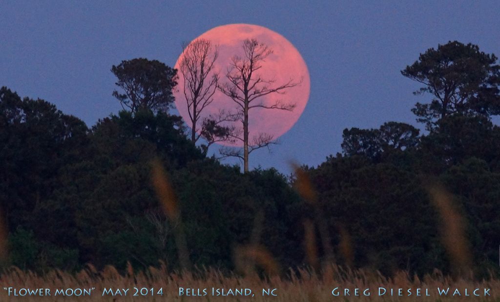 Majestic Full Flower Moon Rises Over North Carolina (Photo) | Space