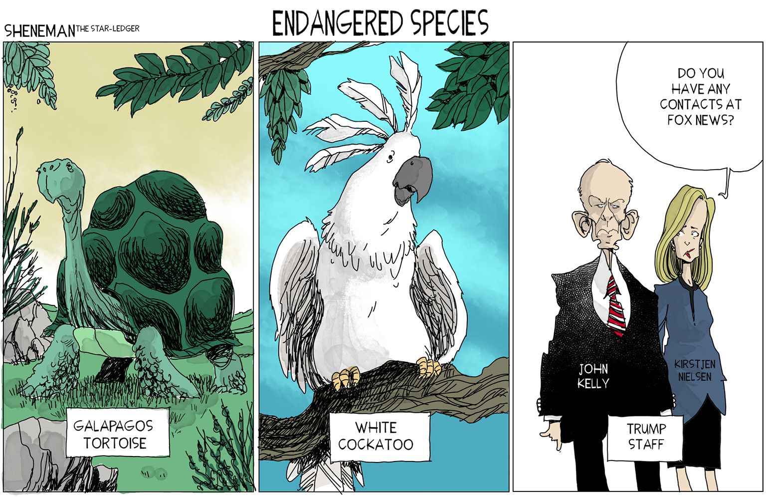 Political cartoon U.S. endangered species tortoise cockatoo Trump staff ...
