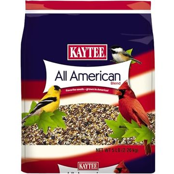 Why you should put pasta in a bird feeder: expert insights | Homes and ...
