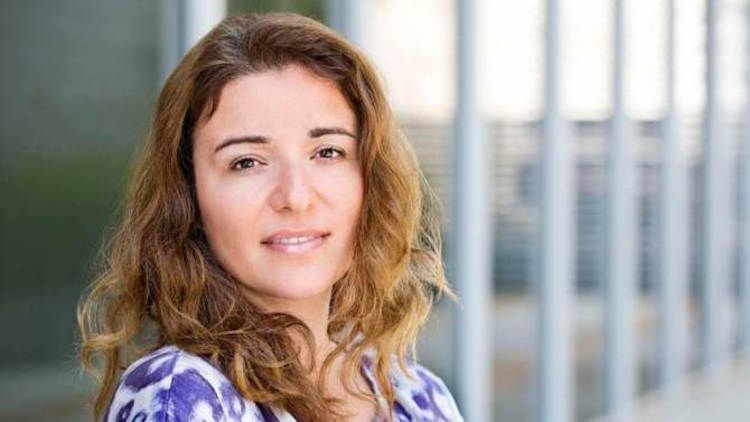 Kogan Joining TBS & TNT in Digital Media Position | Next TV ...