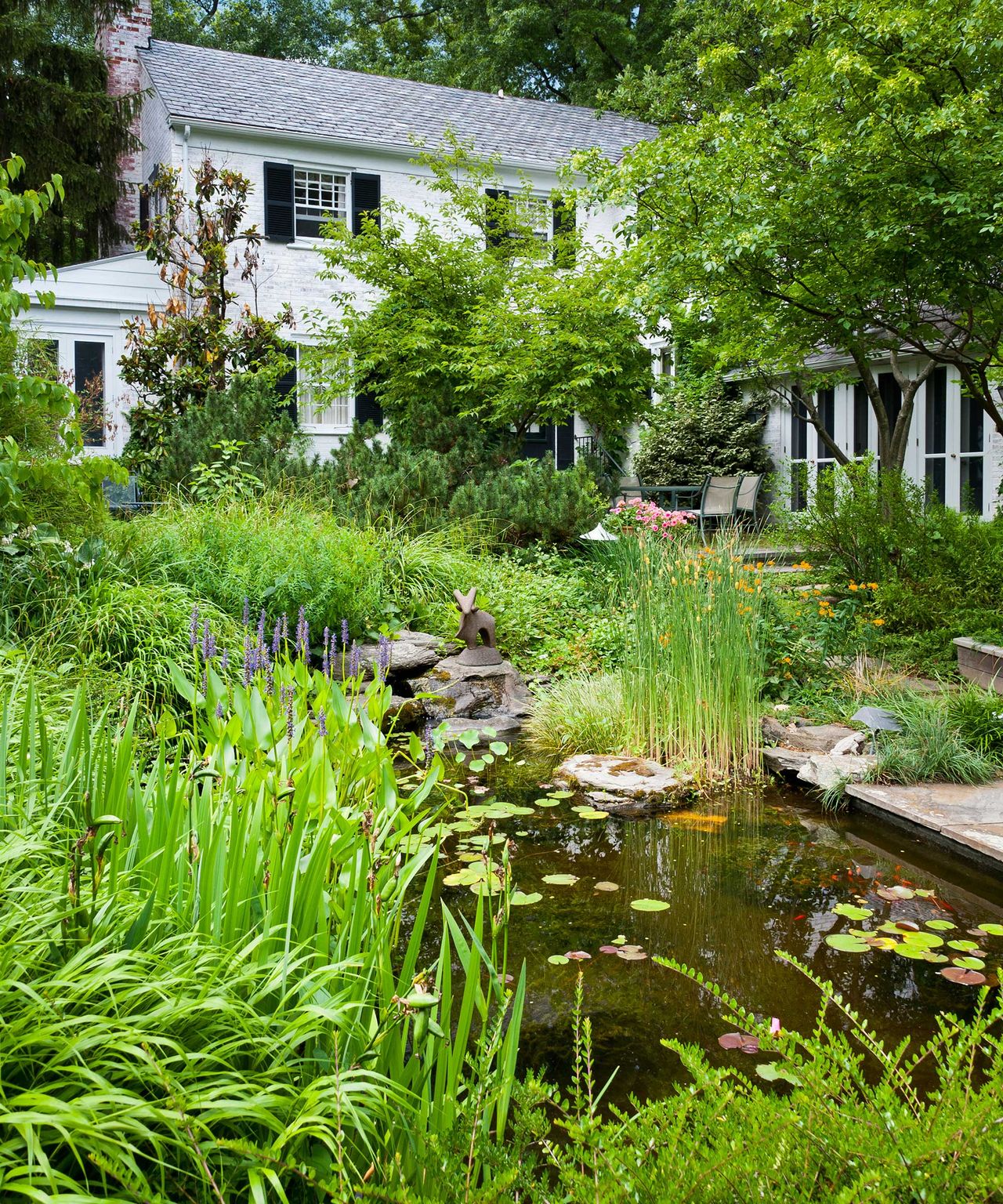How to clean a pond without draining it: 5 simple steps for a quick ...