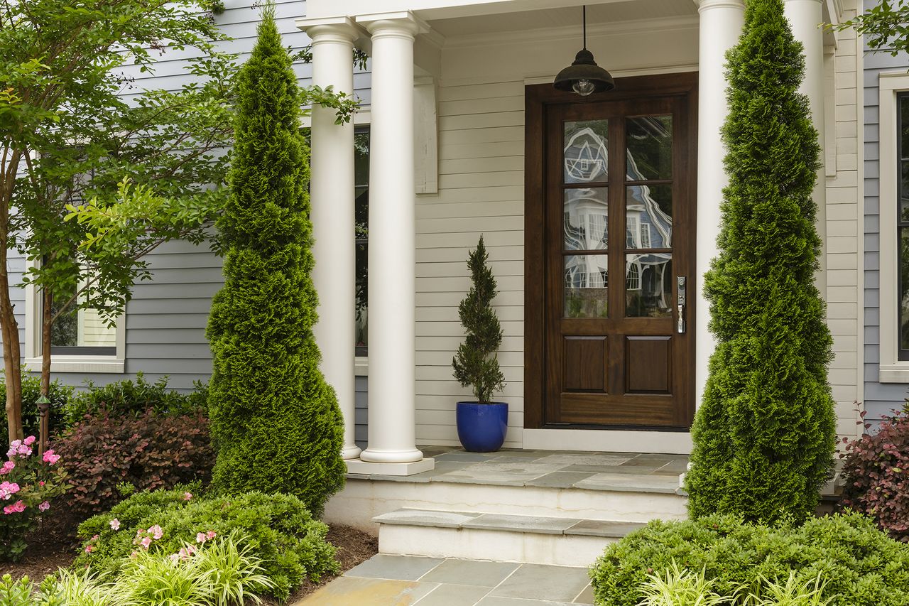 Best trees for front yards: 10 varieties to suit all gardens | Homes ...