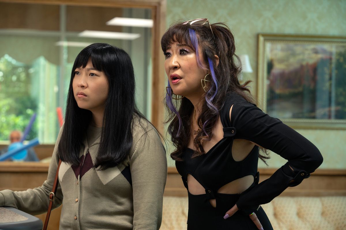 Quiz Lady Release Date Cast Plot Trailer Guide More What To Watch Quiz Lady Release Date Cast Plot Trailer Guide More What To Watch