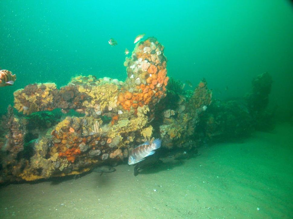 Shipwrecks Gallery: Secrets of the Deep | Live Science