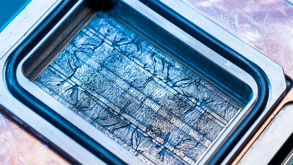 Microsoft develops breakthrough chip cooling method — microfluidic ...