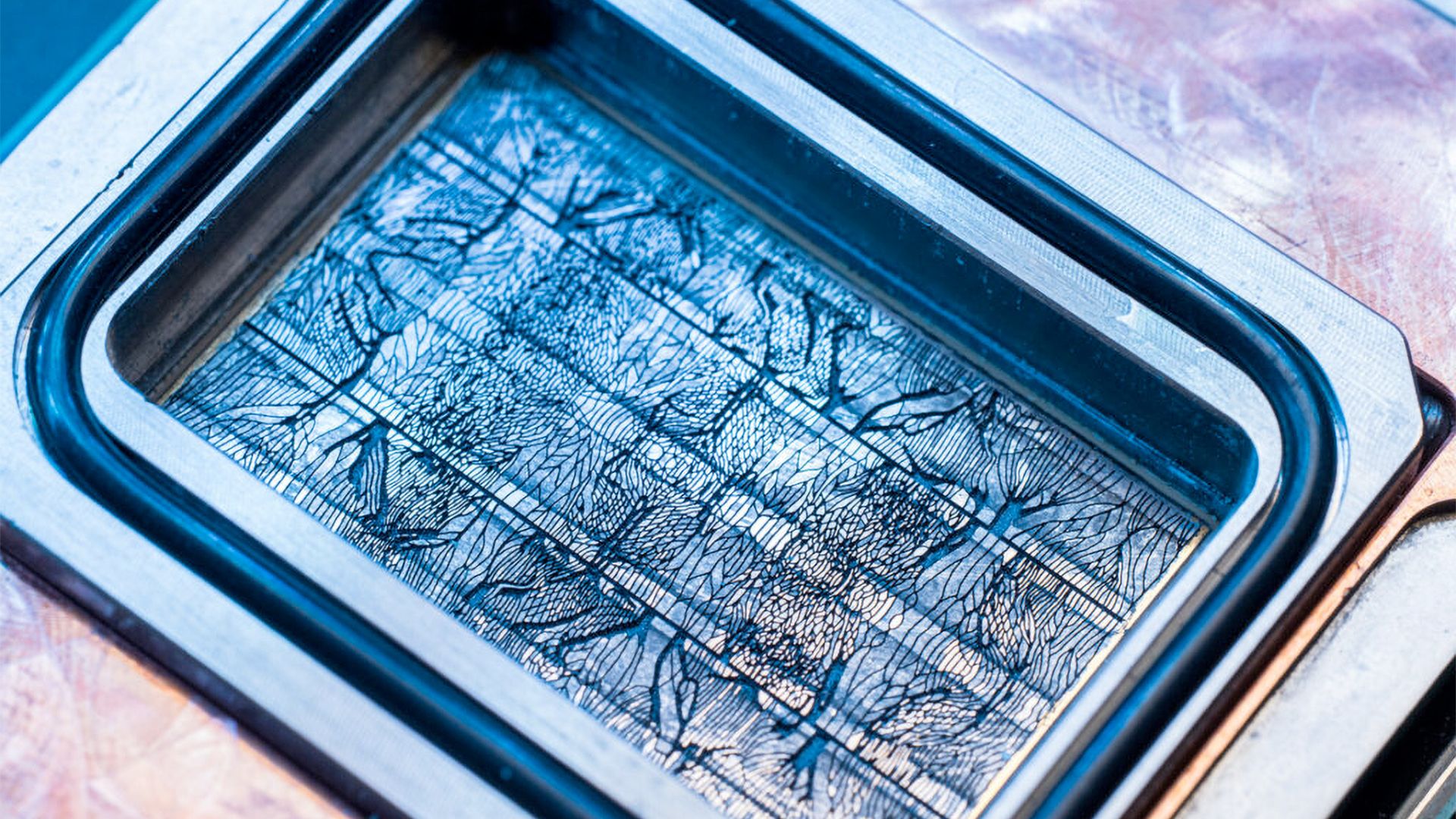 Microsoft develops breakthrough chip cooling method — microfluidic ...