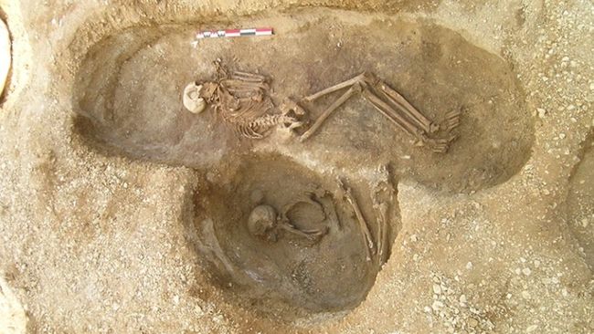 Largest-ever genetic family tree reconstructed for Neolithic people in ...
