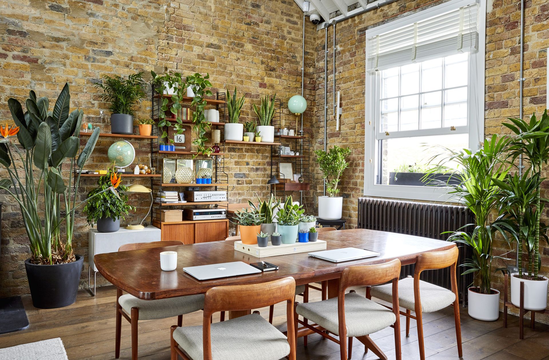 Indoor plant ideas: 25 ways to create stunning house plant displays ...