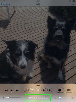 How to Transfer Files with macOS AirDrop | Laptop Mag