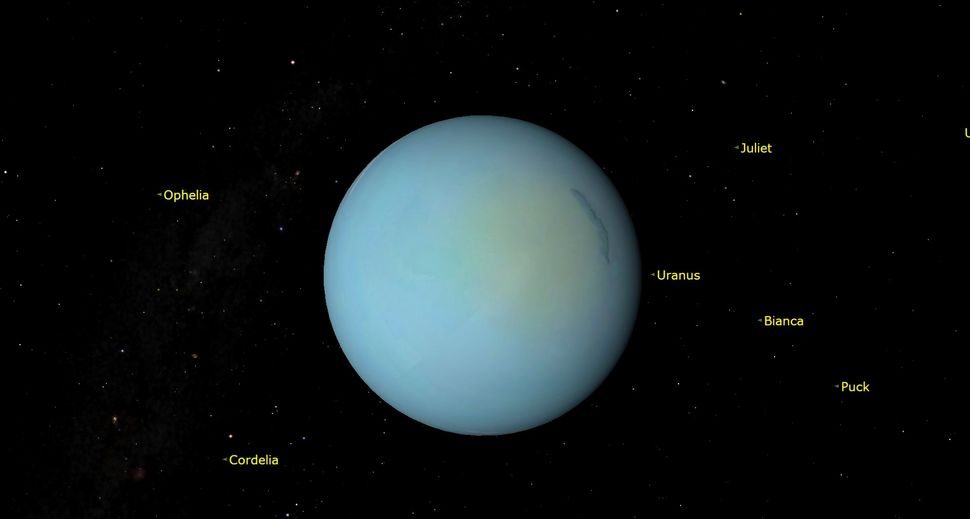 Here's how to see Uranus at its brightest in the sky | Space