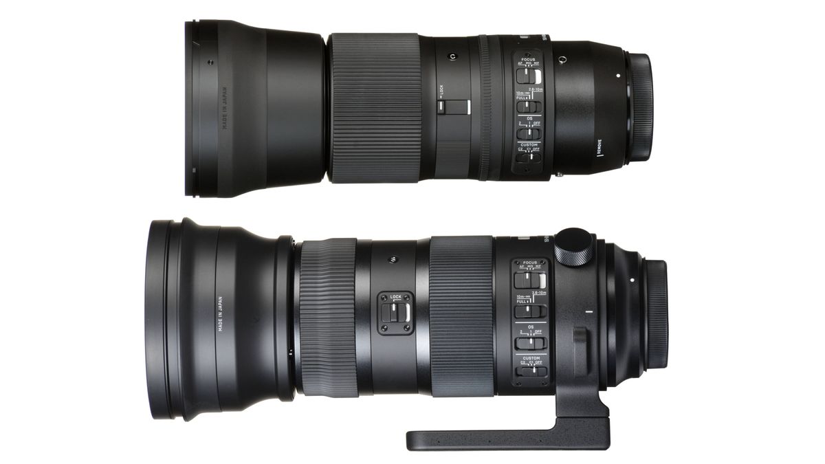 Sigma 150-600 Contemporary vs Sports: let us explain the differences ...