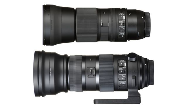 Sigma 150-600 Contemporary vs Sports: let us explain the differences ...