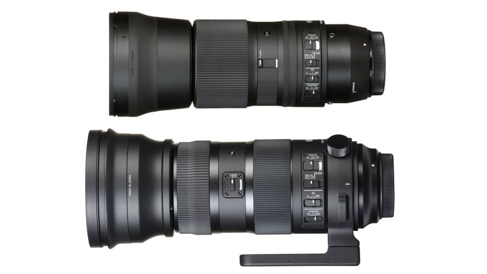 Sigma 150-600 Contemporary vs Sports: let us explain the differences ...