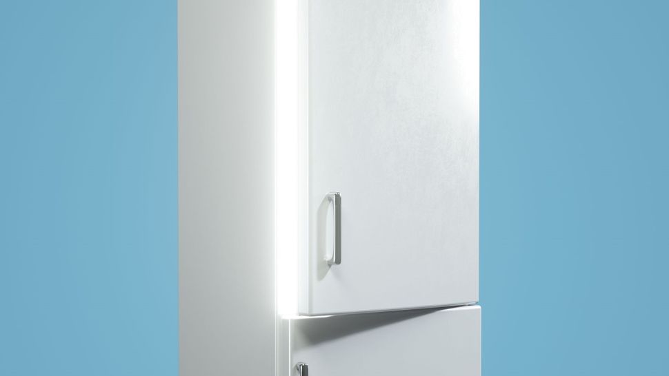 How to store a refrigerator when it’s not in use | Top Ten Reviews