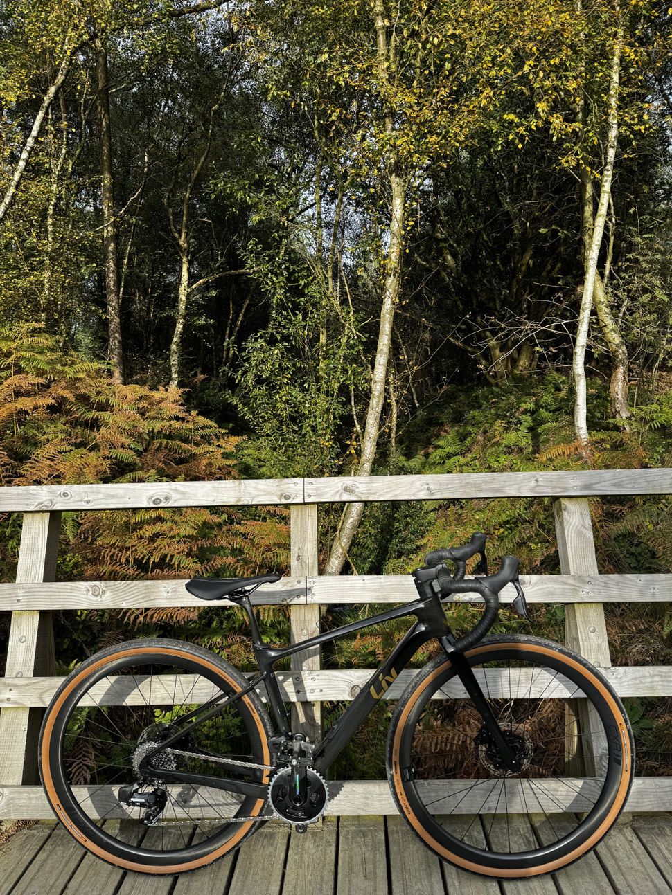 Liv Devote Advanced Pro (2024) Review: Dreamy riding for the ...