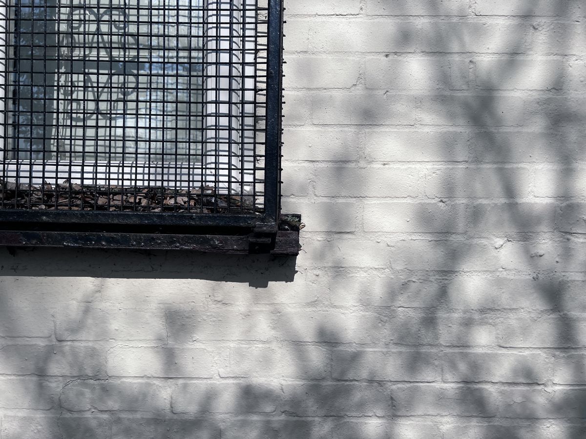 How to master Photographic Styles on your iPhone camera | TechRadar